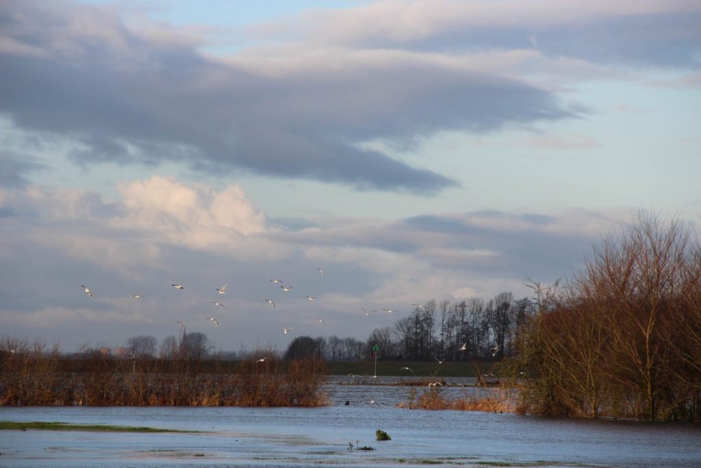 Laarzenpad Zalk - Een wandeling in Zalk om niet snel te vergeten!